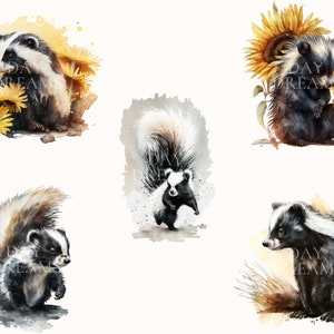 Watercolor Skunks Clipart, Cute Skunk With Sunflowers Clipart Bundle ...
