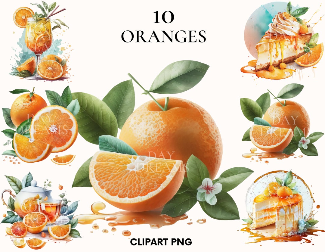 Watercolor Oranges Clipart, Orange Dessert Clipart Bundle, Ice Cream ...