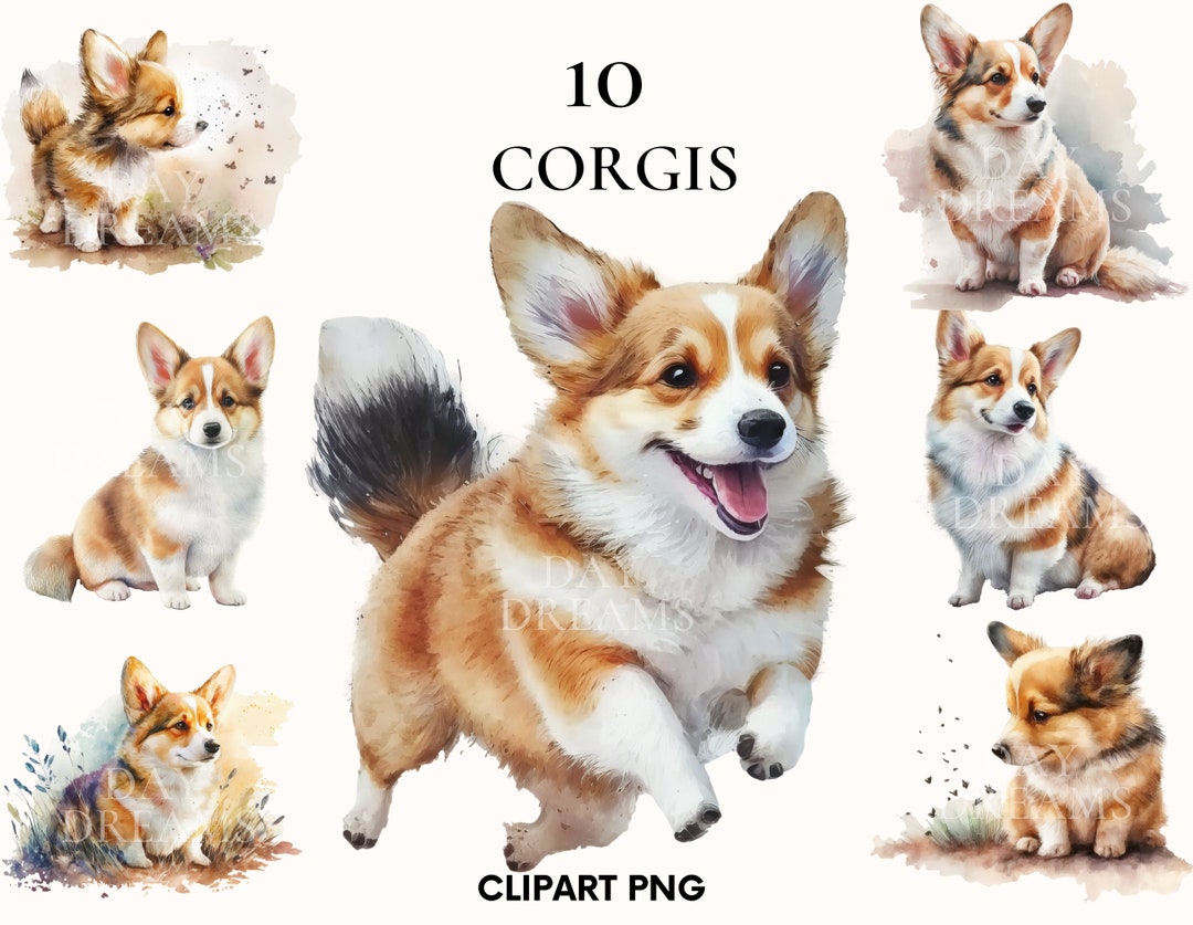 Watercolor Corgi Clipart, Cute Puppy Corgi Bundle, House Pet Animal ...