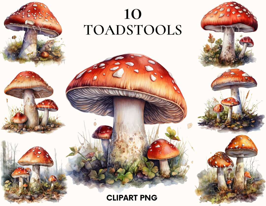 Watercolor Toadstool Clipart, Food Clipart Bundle, Delicious Toadstool ...