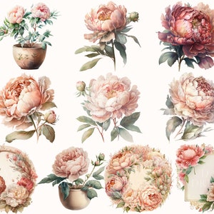 Watercolor Peonies Clipart, Spring Wedding Flowers Clipart Bundle ...