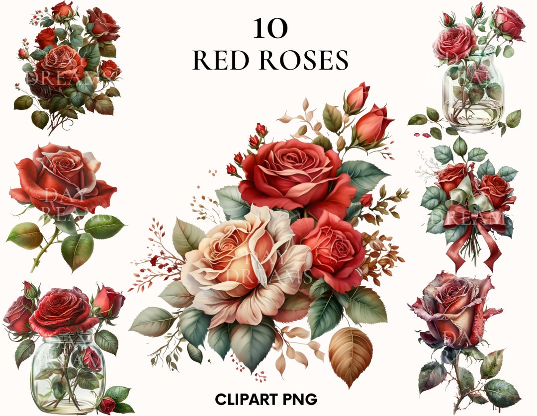 Imágenes prediseñadas de rosas rojas de acuarela, paquete de imágenes ...