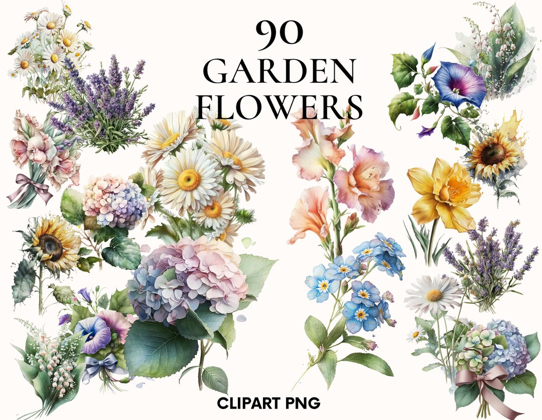 Garden Flower Clipart, Flower Png, Daisy Clipart, Forget Me Not Clipart ...