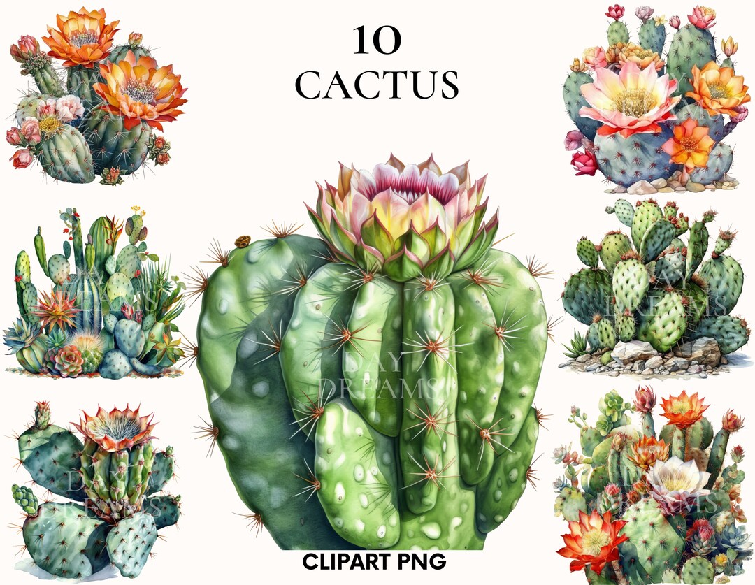 Watercolor Cactus Clipart, Greenery Clipart Bundle, Summer Clipart ...