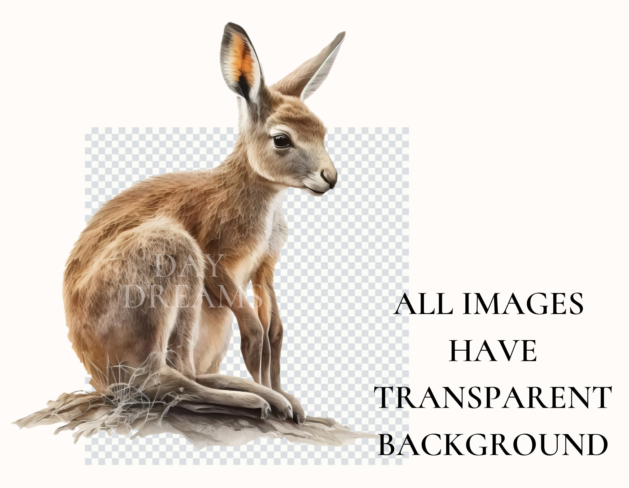 Watercolor Kangaroo Clipart Cute Kangaroos Clipart Bundle - Etsy