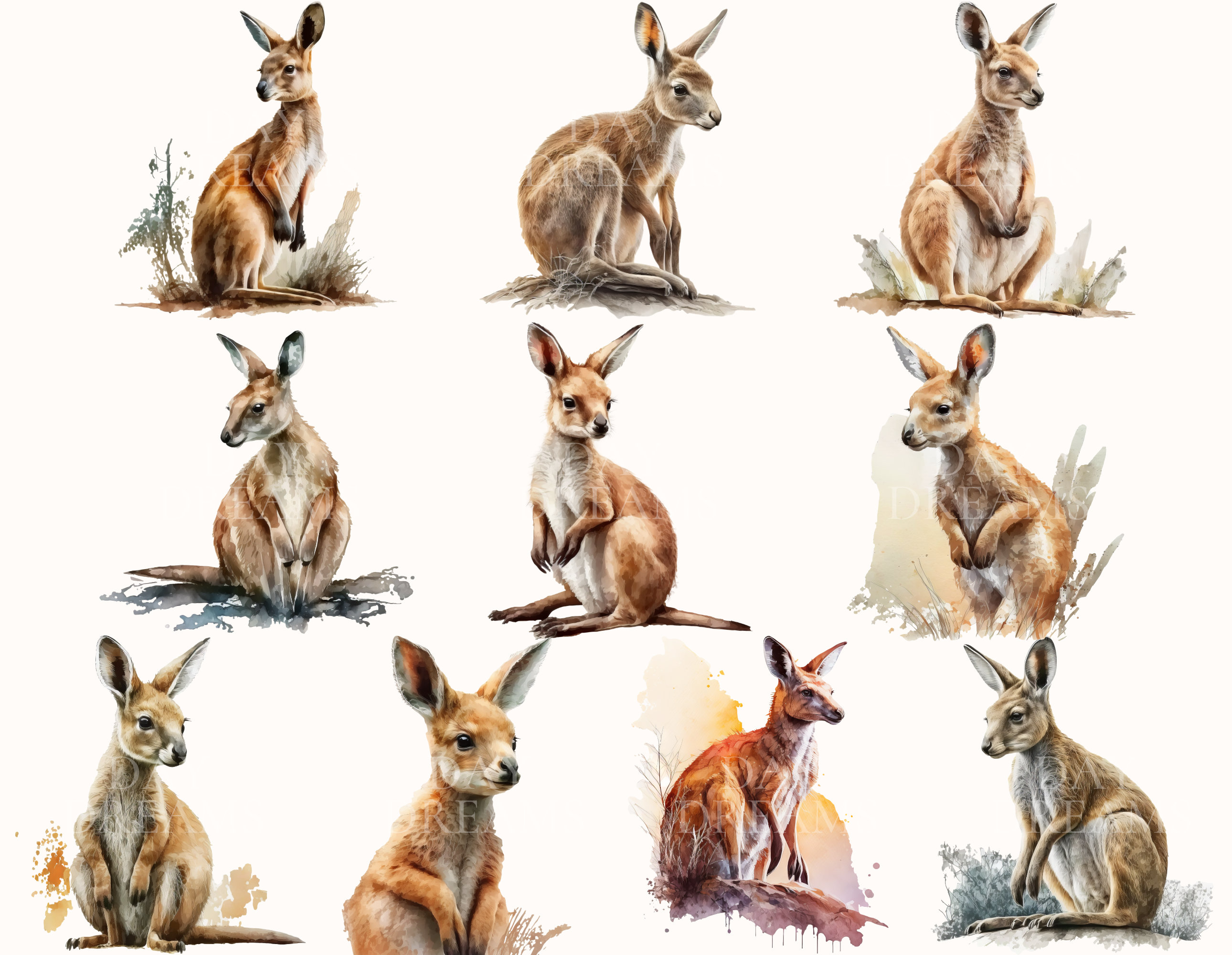 Watercolor Kangaroo Clipart Cute Kangaroos Clipart Bundle - Etsy