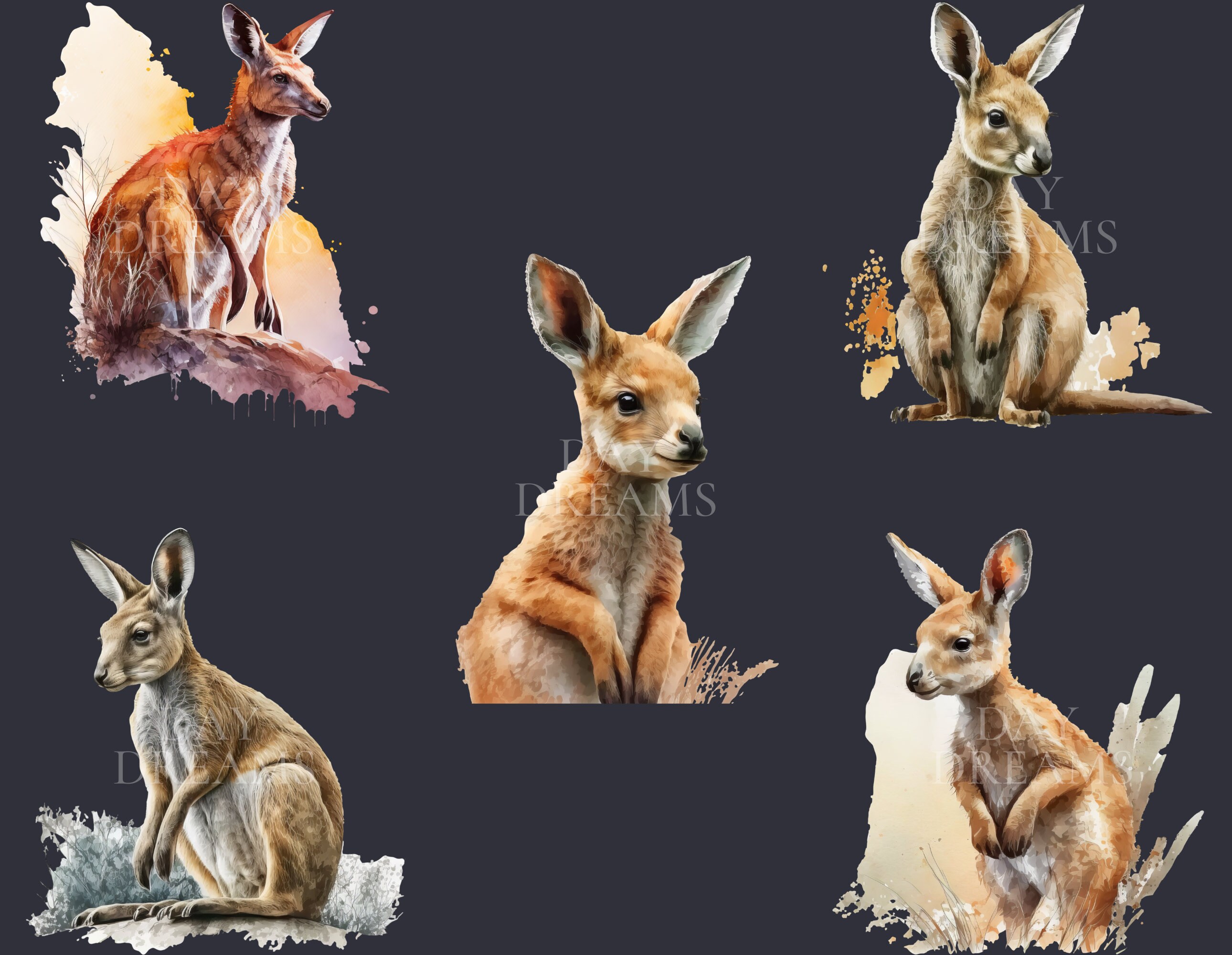 Watercolor Kangaroo Clipart Cute Kangaroos Clipart Bundle - Etsy