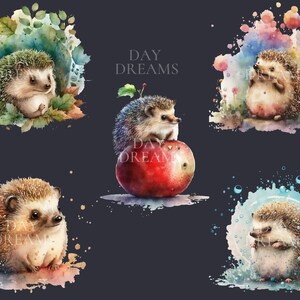 Watercolor Happy Hedgehog Clipart, Cute Forest Animal Clipart Bundle ...
