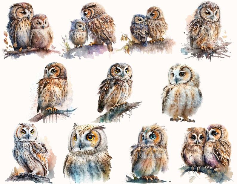 Watercolor Owl Clipart Sweet Baby Owl Clipart Woodland - Etsy
