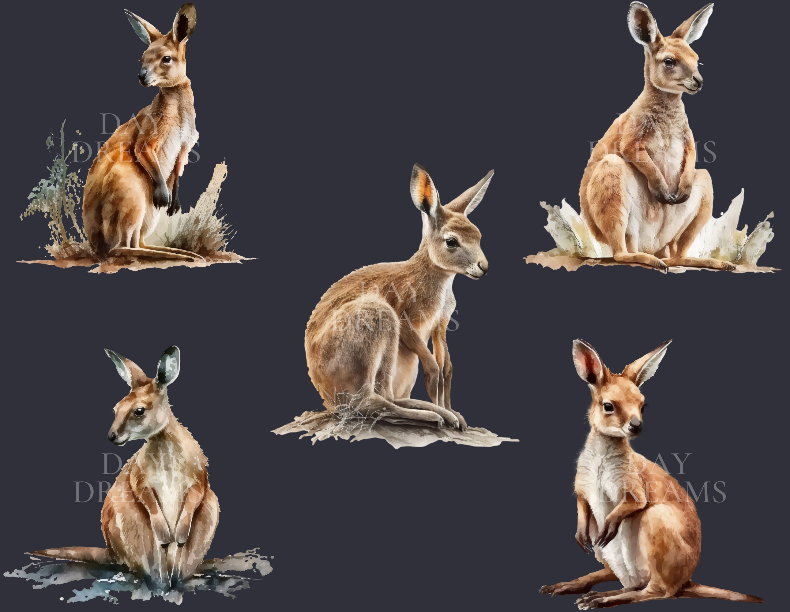 Watercolor Kangaroo Clipart Cute Kangaroos Clipart Bundle - Etsy
