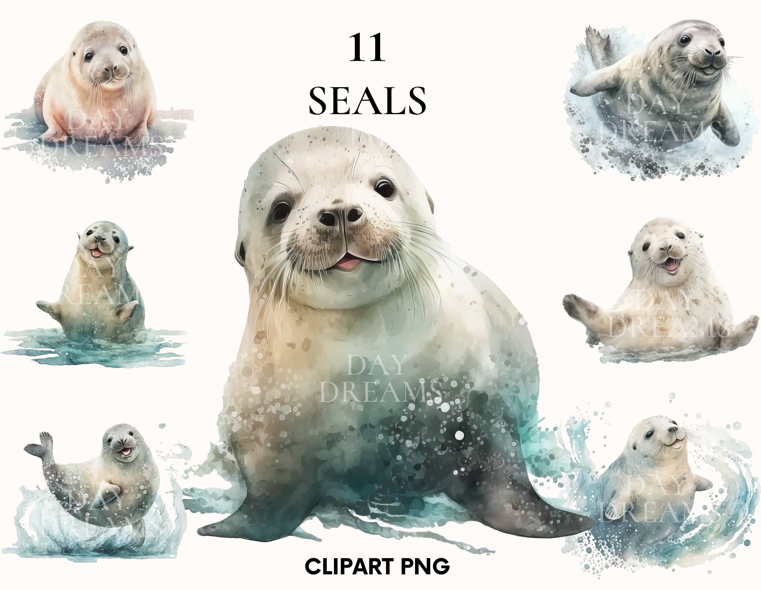 Animal Seal Clipart