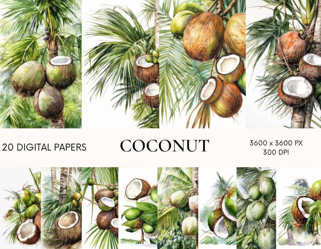 Coconut Digital Paper, Coconut Instant Download, Commercial Use ...