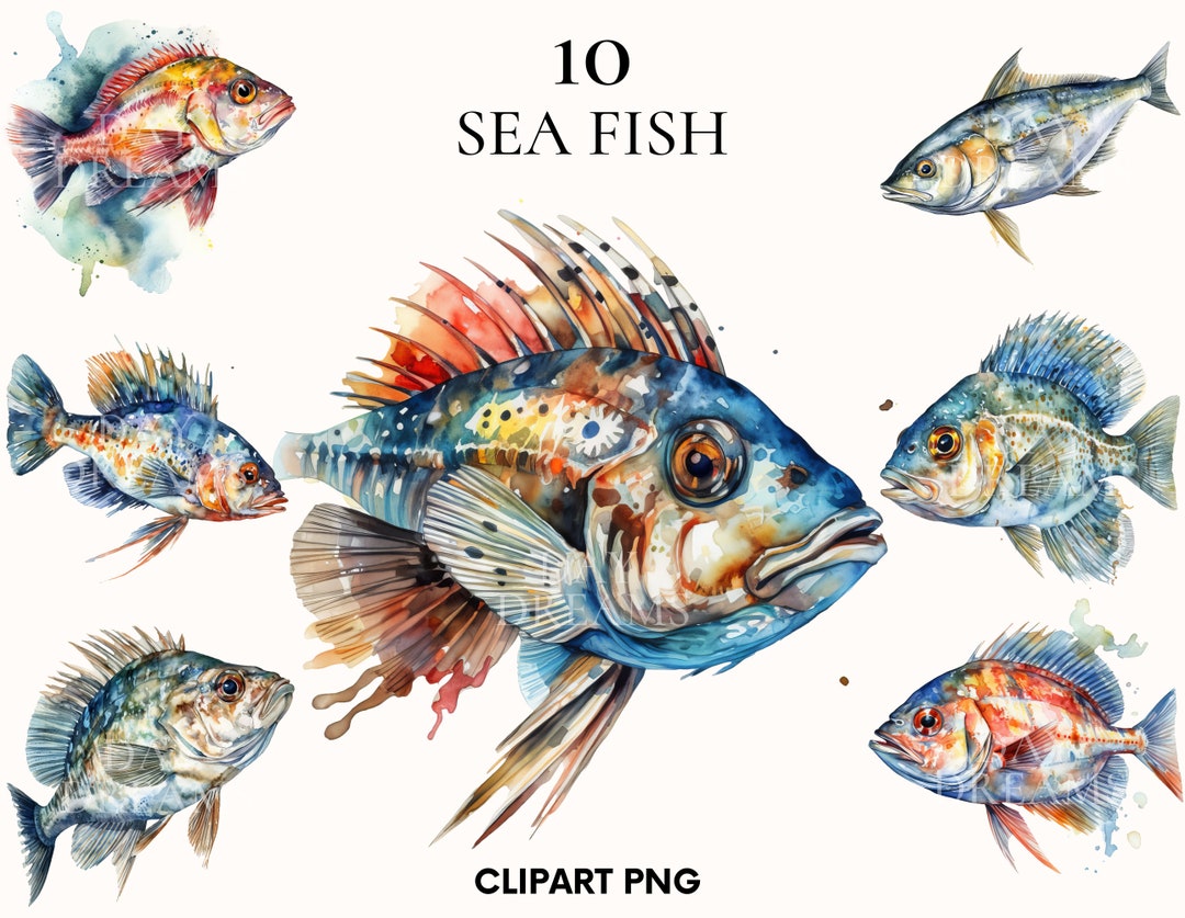 Watercolor Sea Fish Clipart, Summer Clipart Bundle, Fish Png, Beach ...