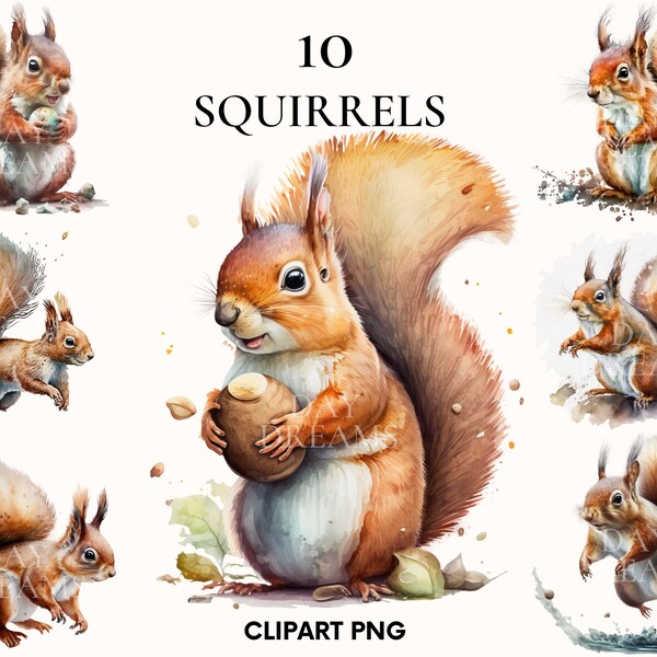 Woodland Squirrel Clipart - Etsy