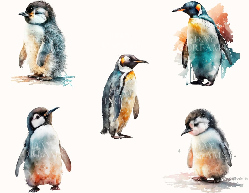 Watercolor Happy Penguin Clipart Baby Penguin Clipart Bundle - Etsy