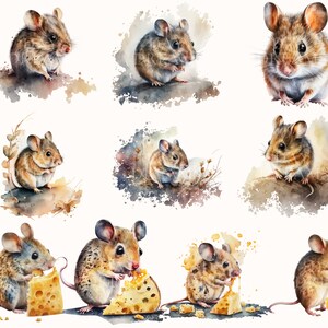 Farm Animals Clipart, Animal Png, Cow Clipart, Goat Clipart, Mouse ...