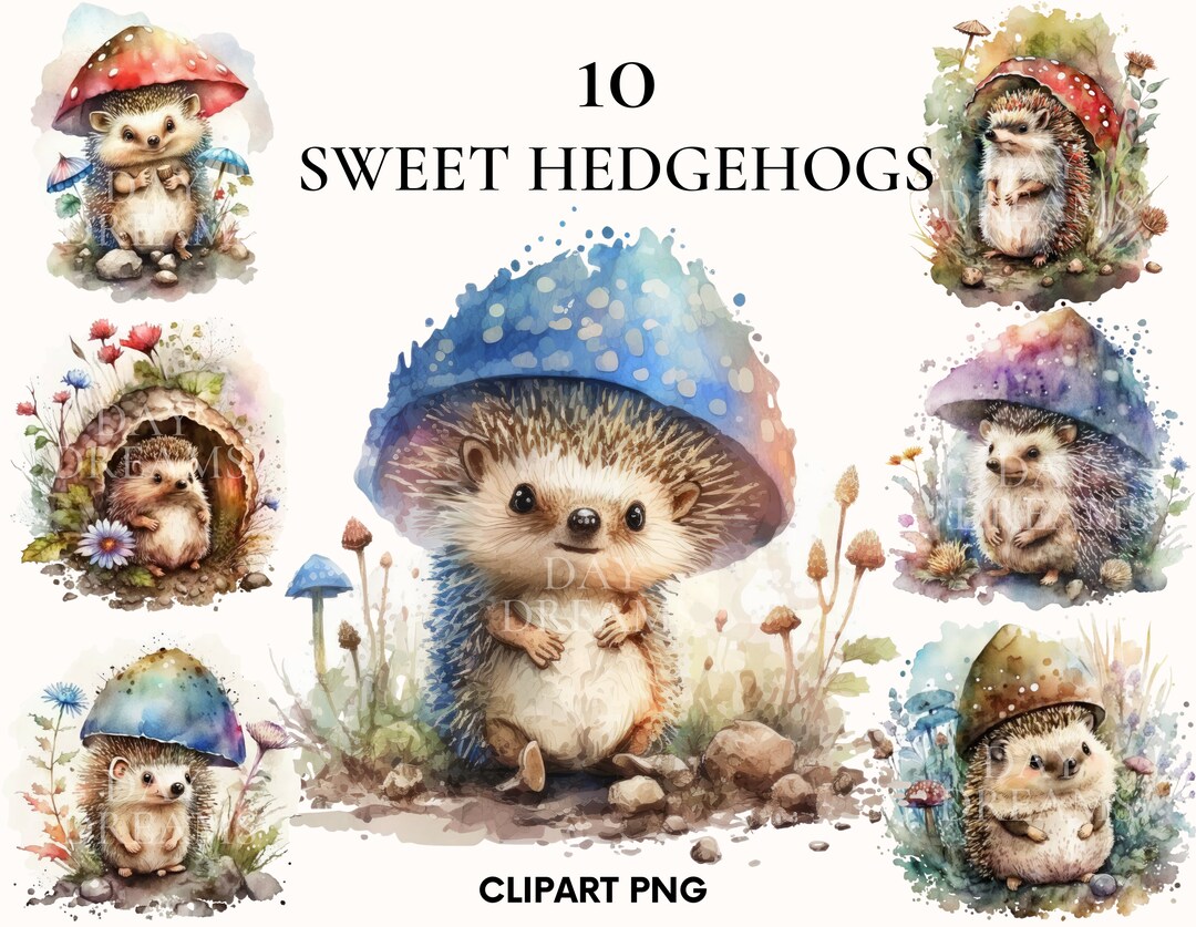 Watercolor Hedgehog Clipart, Cute Forest Animal Clipart Bundle ...