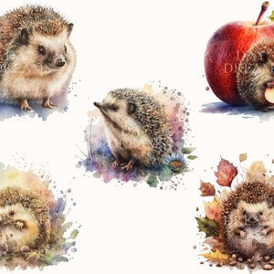 Watercolor Happy Hedgehog Clipart, Cute Forest Animal Clipart Bundle ...