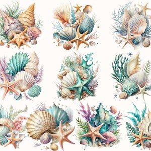 Seashore Clipart, Seashell Clipart, Summer Clipart, Holiday Clipart ...