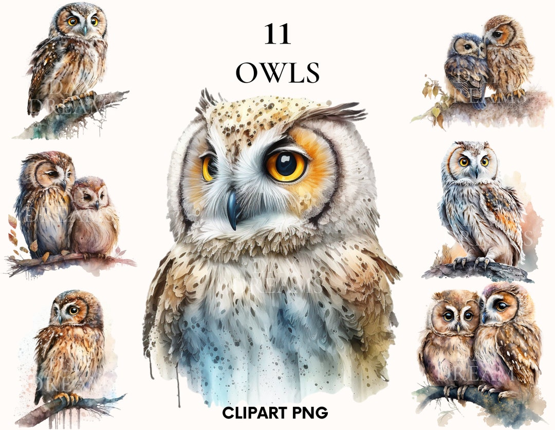 Watercolor Owl Clipart, Sweet Baby Owl Clipart, Woodland Animal Clipart ...