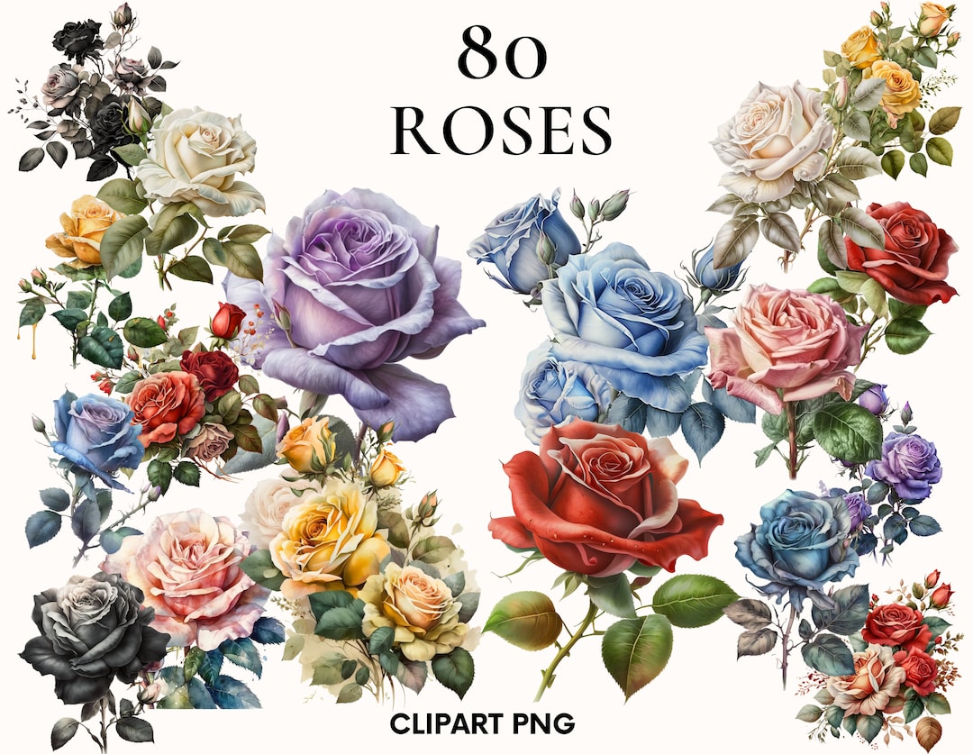 Watercolor Roses Clipart, Spring Flowers Clipart Bundle, Wedding ...