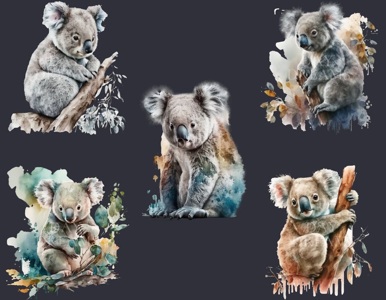 Watercolor Koala Bear Clipart Koalas Clipart Bundle Wild - Etsy
