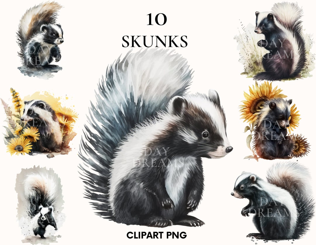 Watercolor Skunks Clipart, Cute Skunk With Sunflowers Clipart Bundle ...