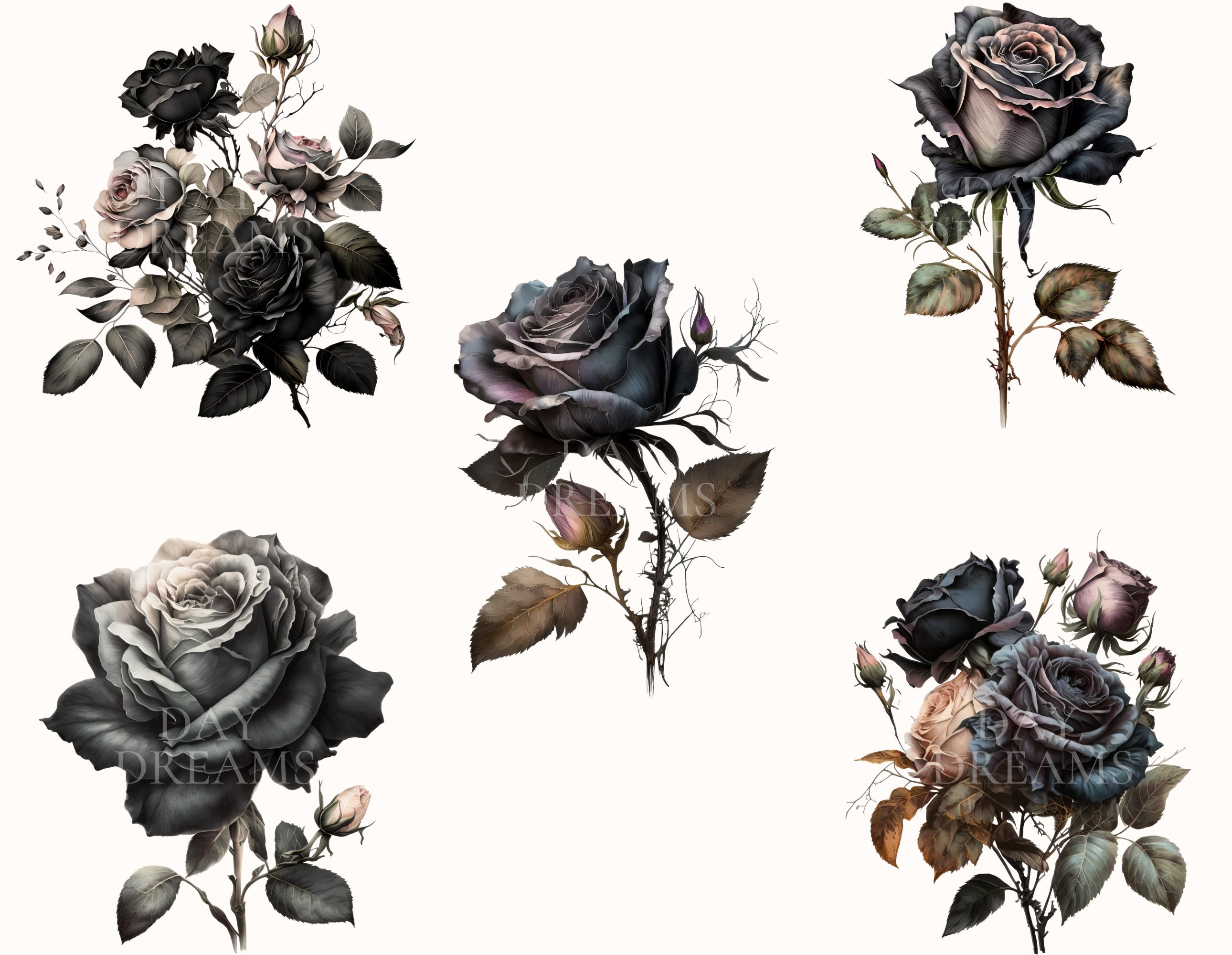 Watercolor Rose Clipart, Black Roses Clipart Bundle, Rose Png, Flower ...