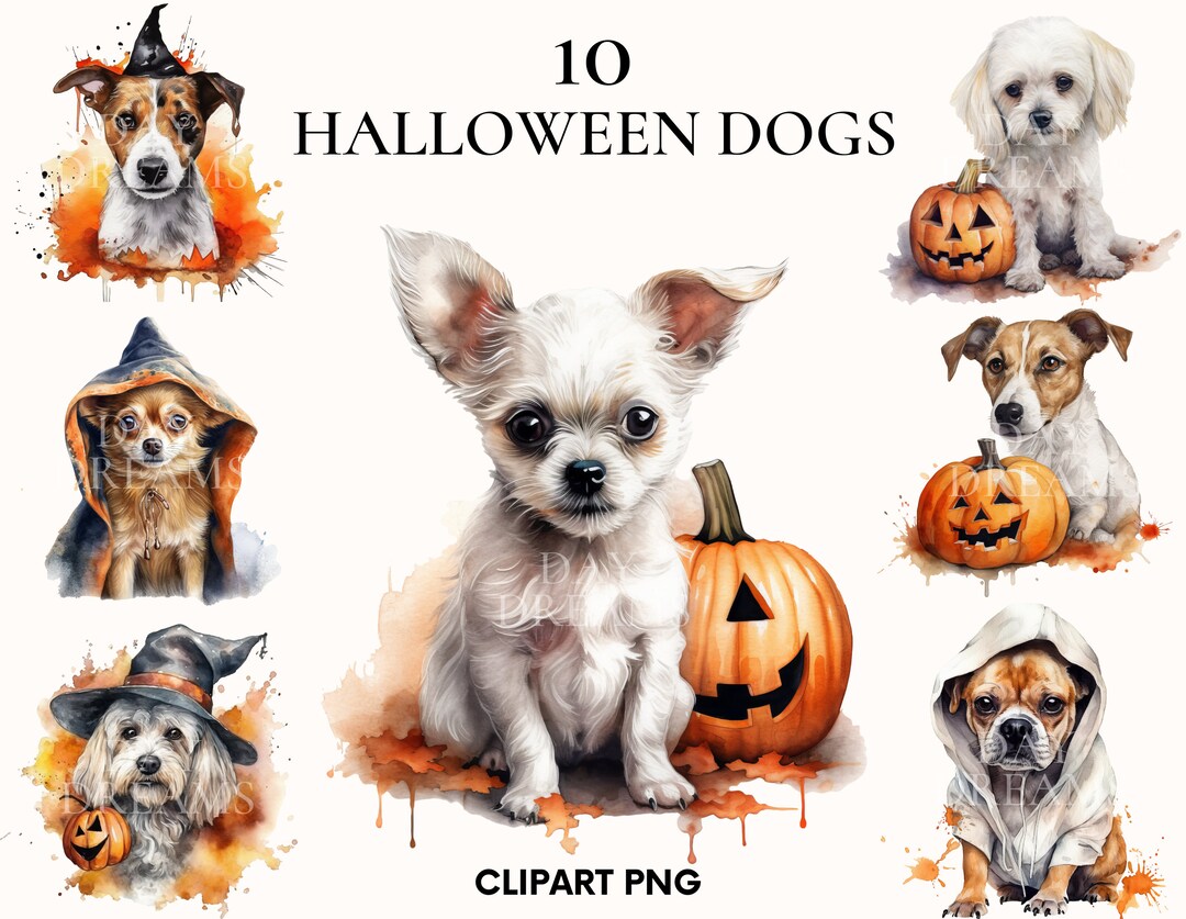 Halloween Dog Clipart, Dog Clipart Bundle, Doglover Clipart, Dog Png ...