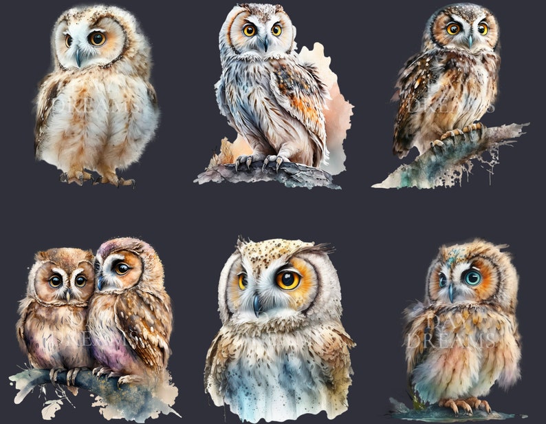 Watercolor Owl Clipart Sweet Baby Owl Clipart Woodland - Etsy