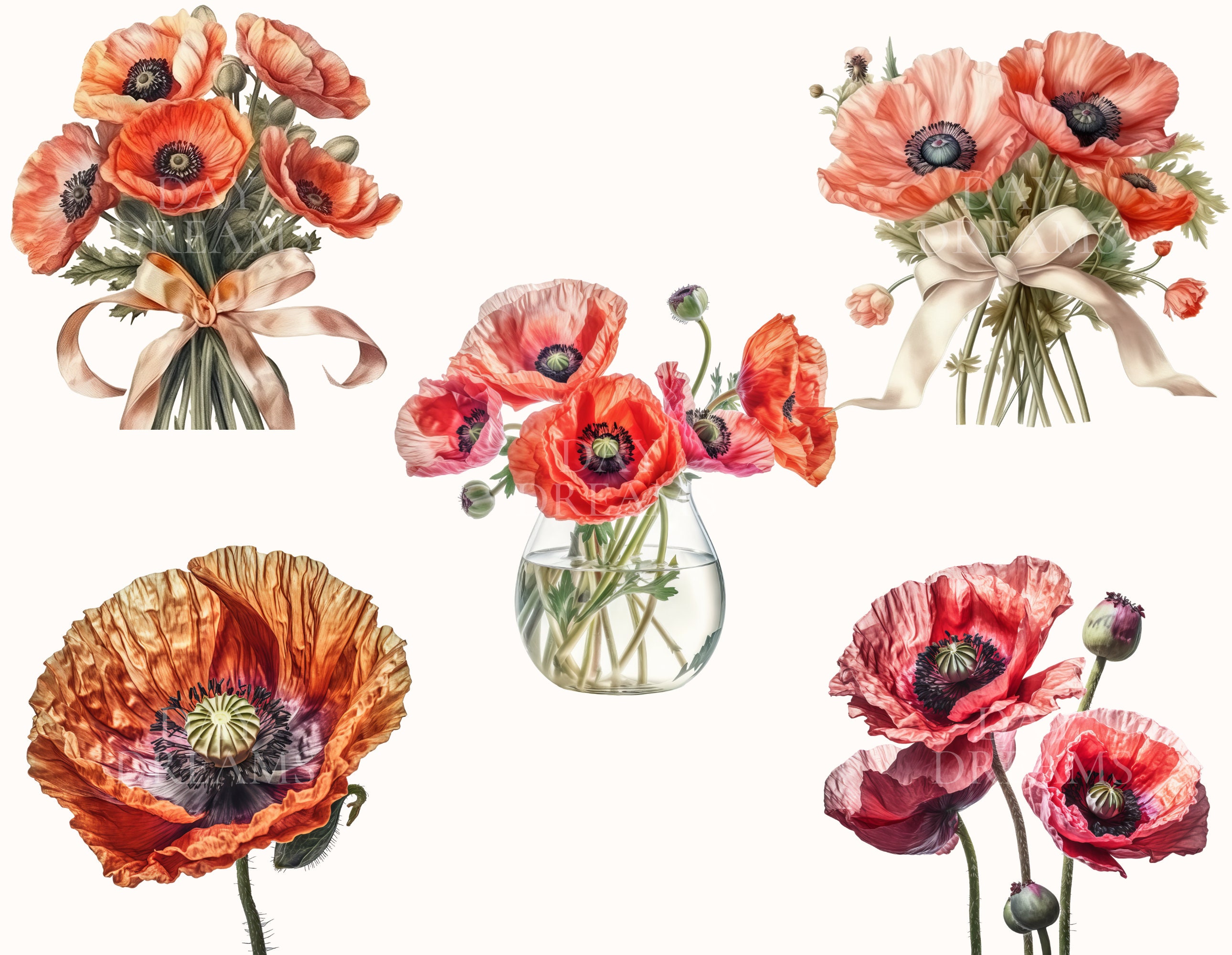 Watercolor Poppy Clipart, Flower Clipart, Wedding Clipart, Flowers ...