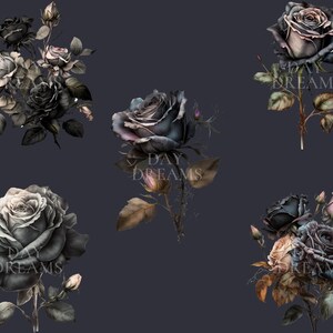 Watercolor Rose Clipart, Black Roses Clipart Bundle, Rose Png, Flower ...