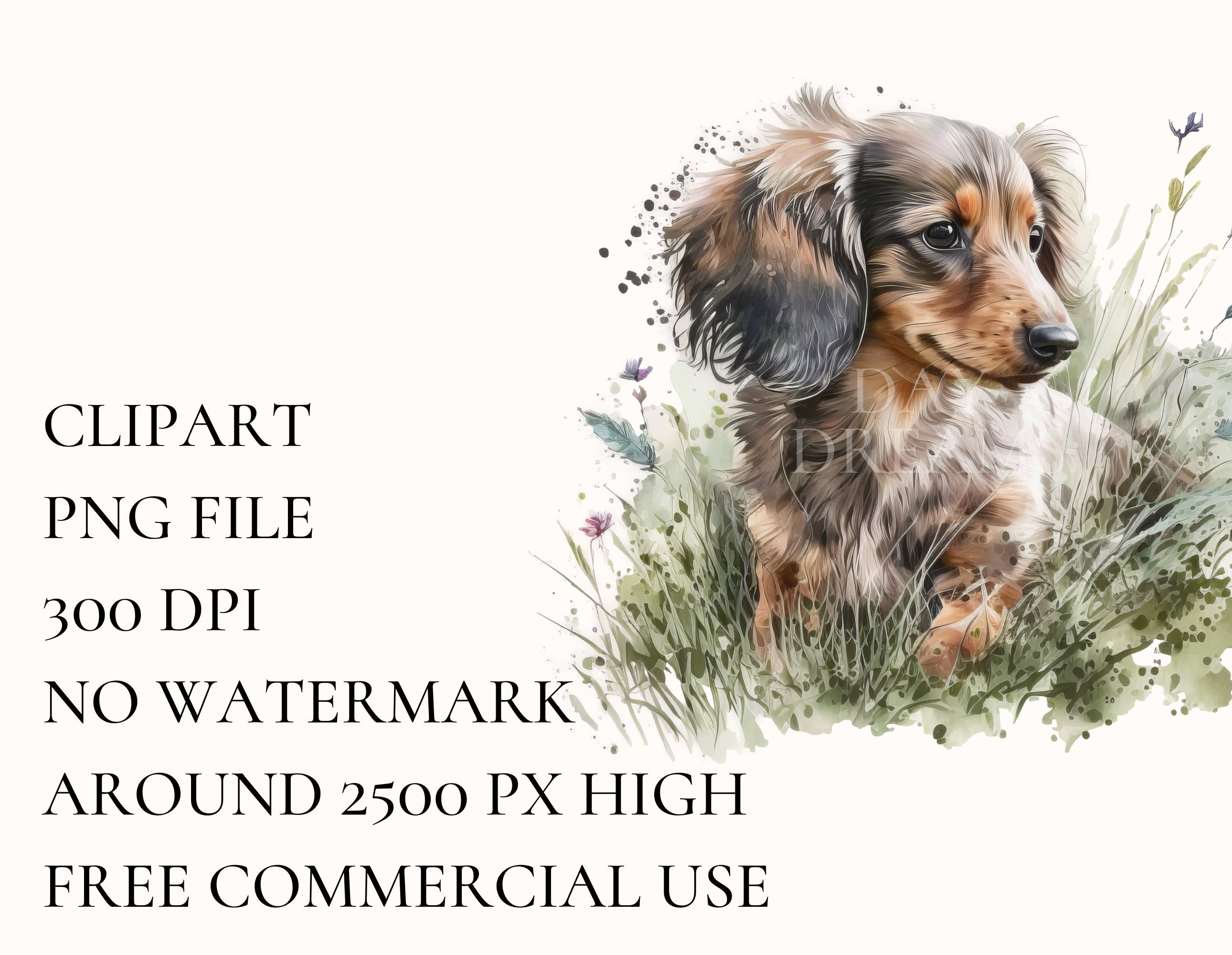 Merle Dachshund Clipart Cute Puppy Dachshund Clipart Bundle - Etsy UK