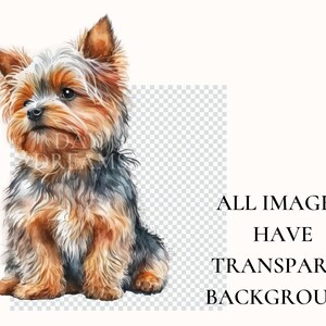 Watercolor Yorkshire Terrier Clipart, Yorkie Clipart Bundle, Puppy Dog ...