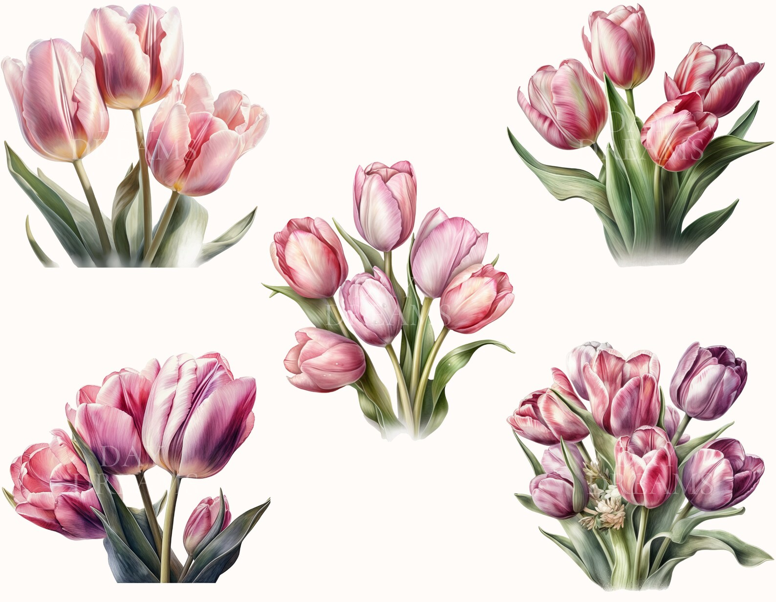 Watercolor Pink Tulips Clipart, Wedding Flowers Clipart Bundle, Flower ...