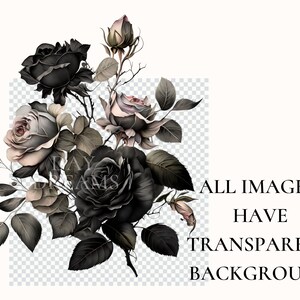 Watercolor Rose Clipart, Black Roses Clipart Bundle, Rose Png, Flower ...