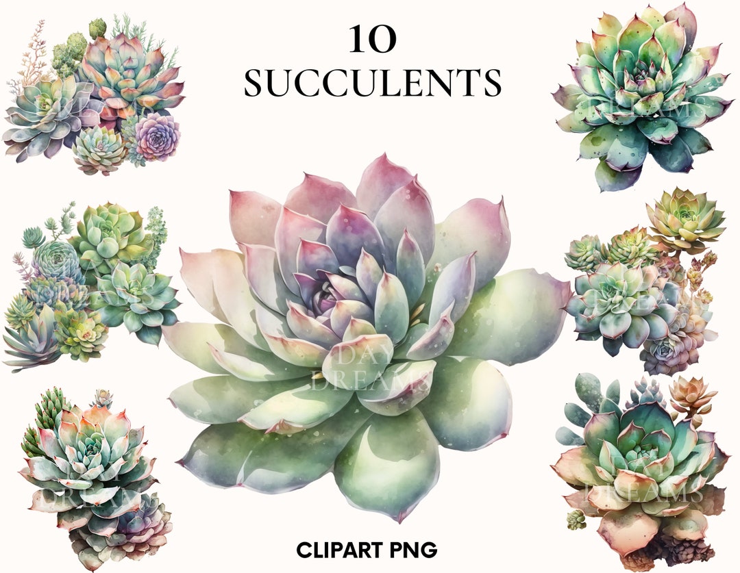 Watercolor Succulent Clipart, Greenery Bouquet Clipart Bundle, Wedding ...