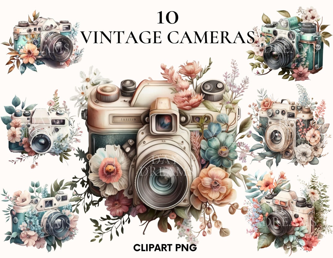 Watercolor Camera Clipart, Vintage Camera Clipart, Fairy Tale Camera ...
