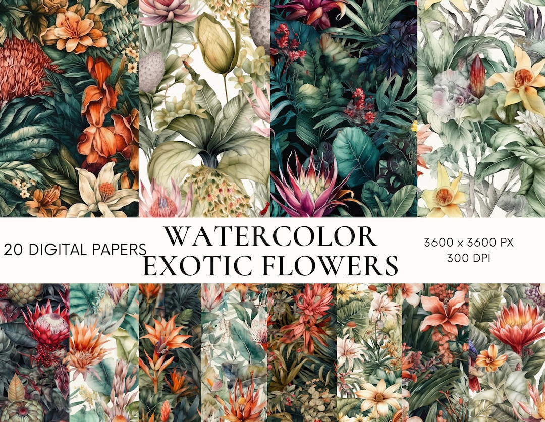 Watercolor Exotic Flower Digital Paper, Tropical Flowers Texture, Rose ...