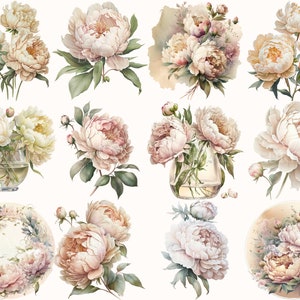 Watercolor Peonies Clipart, Spring Wedding Flowers Clipart Bundle ...