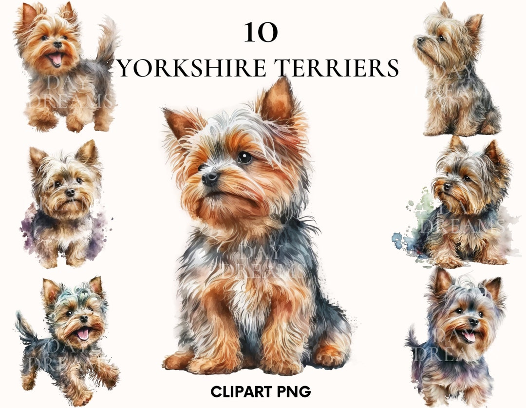 Watercolor Yorkshire Terrier Clipart, Yorkie Clipart Bundle, Puppy Dog ...