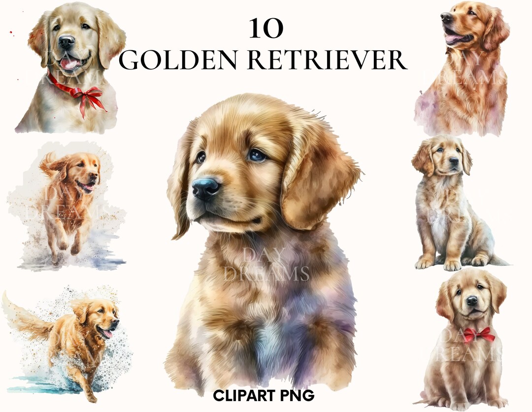Golden Retriever Clipart, Cute Puppy Golden Clipart Bundle, Pet Clipart ...