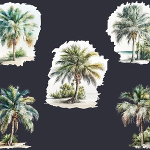 Watercolor Palm Tree Clipart, Beach Clipart, Tropical Clipart Bundle ...