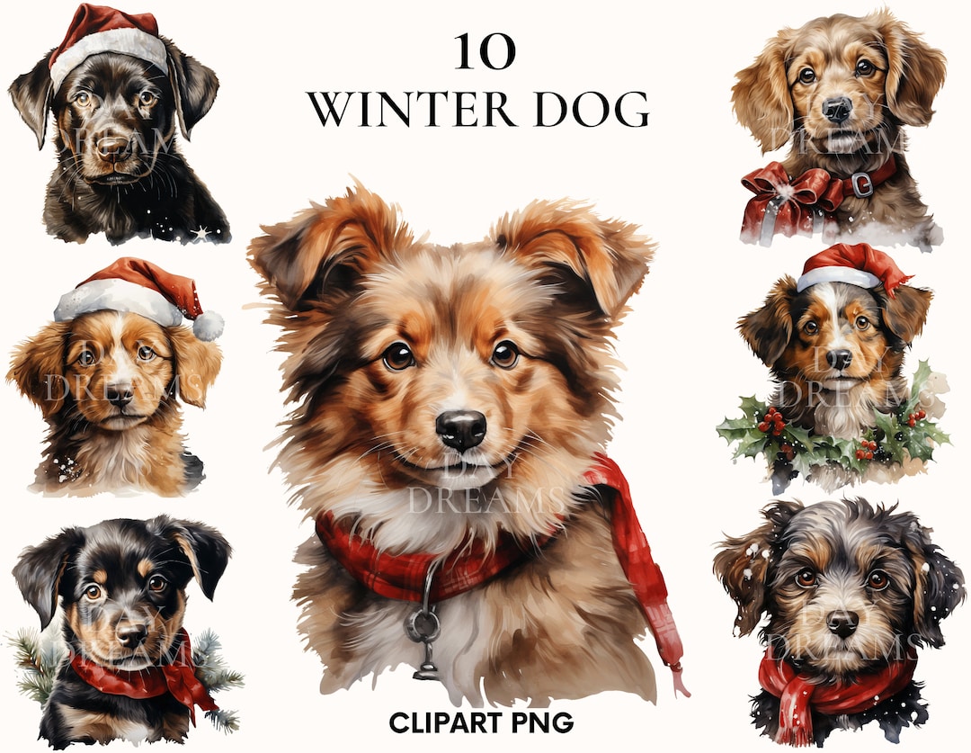 Winter Dog Clipart, Dog Clipart Bundle, Doglover Clipart, Dog Png ...