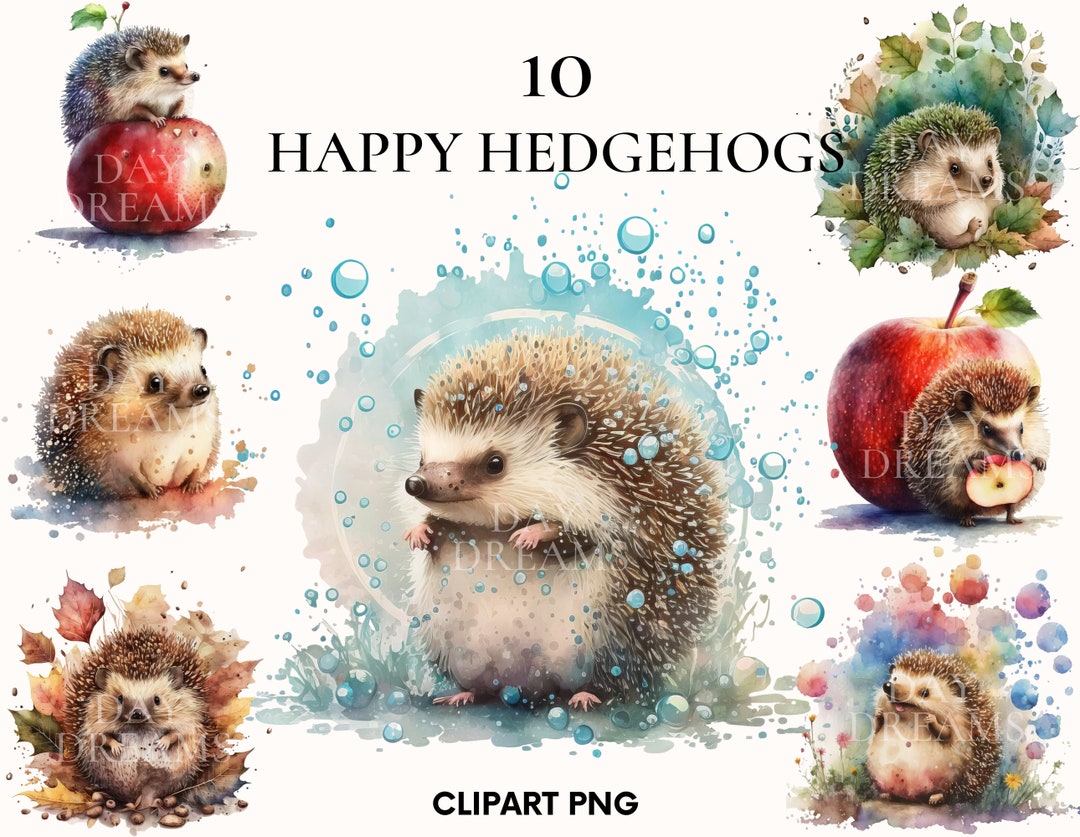 Watercolor Happy Hedgehog Clipart, Cute Forest Animal Clipart Bundle ...