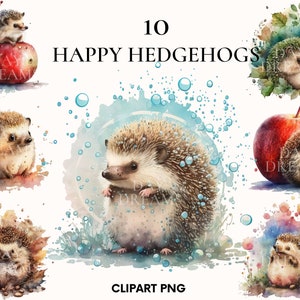Watercolor Happy Hedgehog Clipart, Cute Forest Animal Clipart Bundle ...