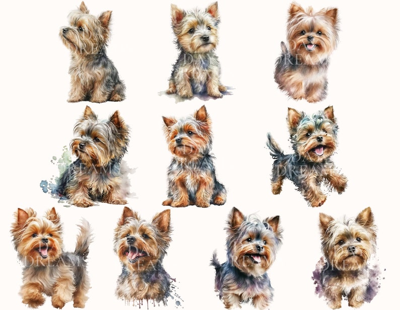 Watercolor Yorkshire Terrier Clipart, Yorkie Clipart Bundle, Puppy Dog ...
