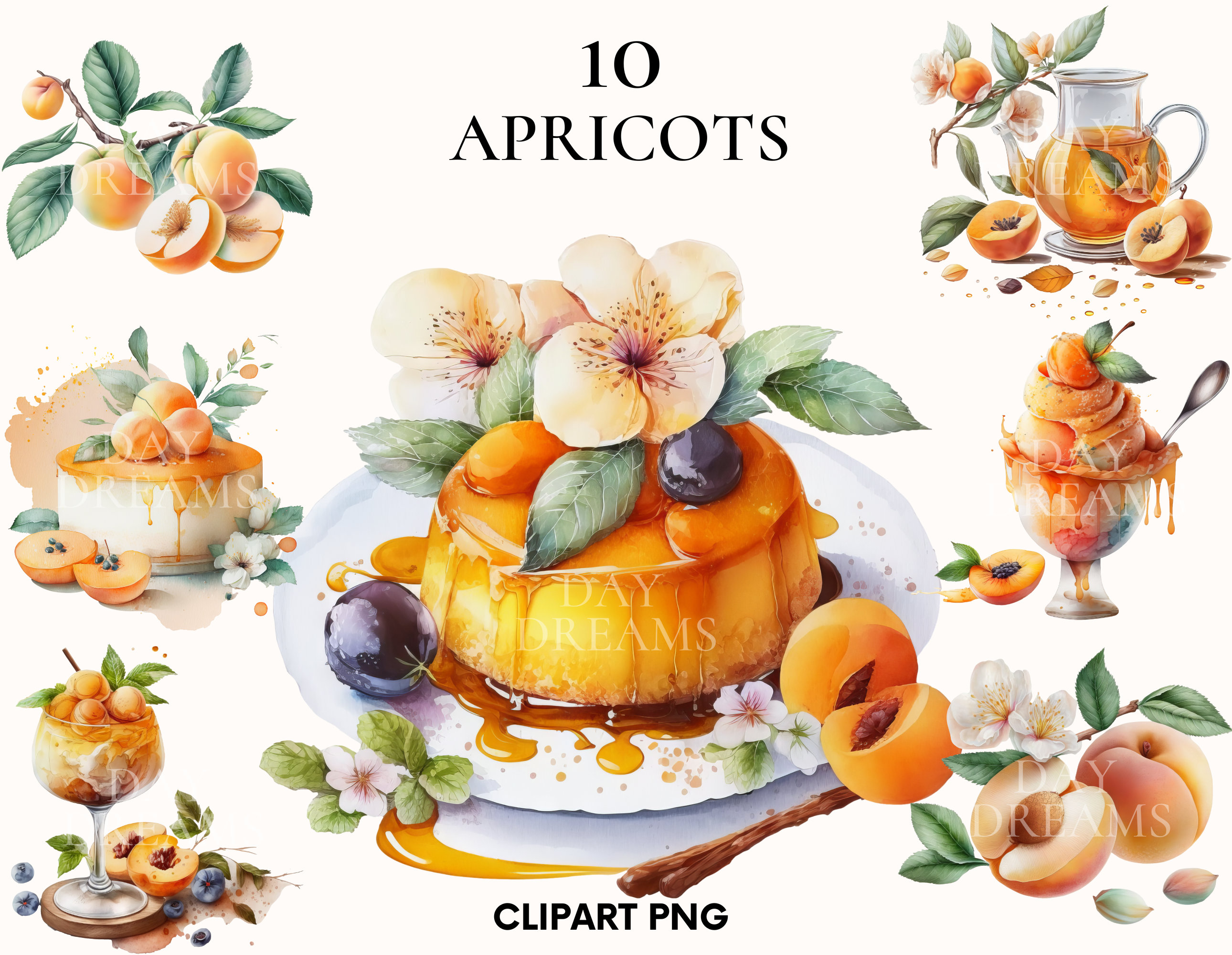 Apricot Clipart