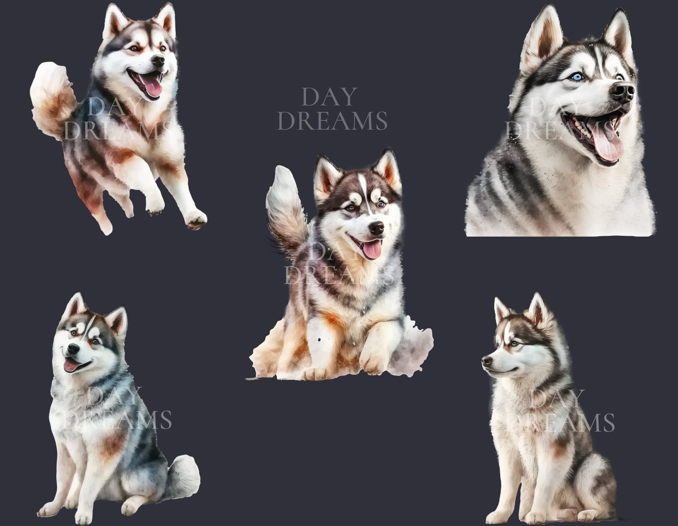 Watercolor Siberian Husky Clipart Cute Dog Clipart Bundle - Etsy