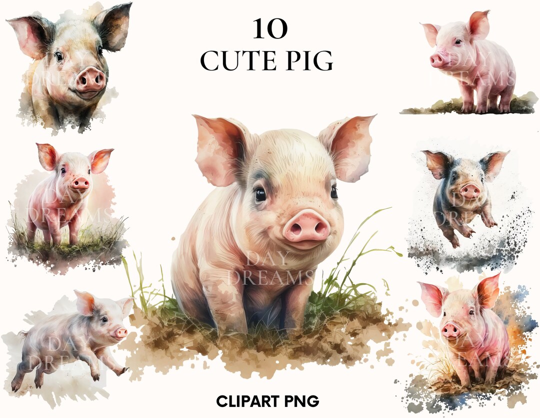 Cute Pig Clipart, Farm Animal Clipart Bundle, Farmhouse Clipart, Pink ...